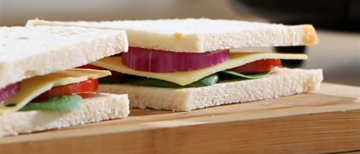 The 5 Best Top Panini Presses Models From Reputable Brands In 2021 The 5 Best Top Panini Presses Models From Reputable Brands In 2021